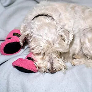 THERA-PAW BOOT - Thera-Paw